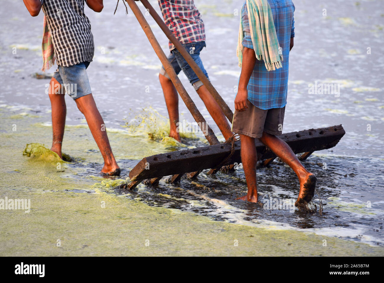 Men working in salt pans, Wadala, Mumbai, Maharashtra, India, Asia ...