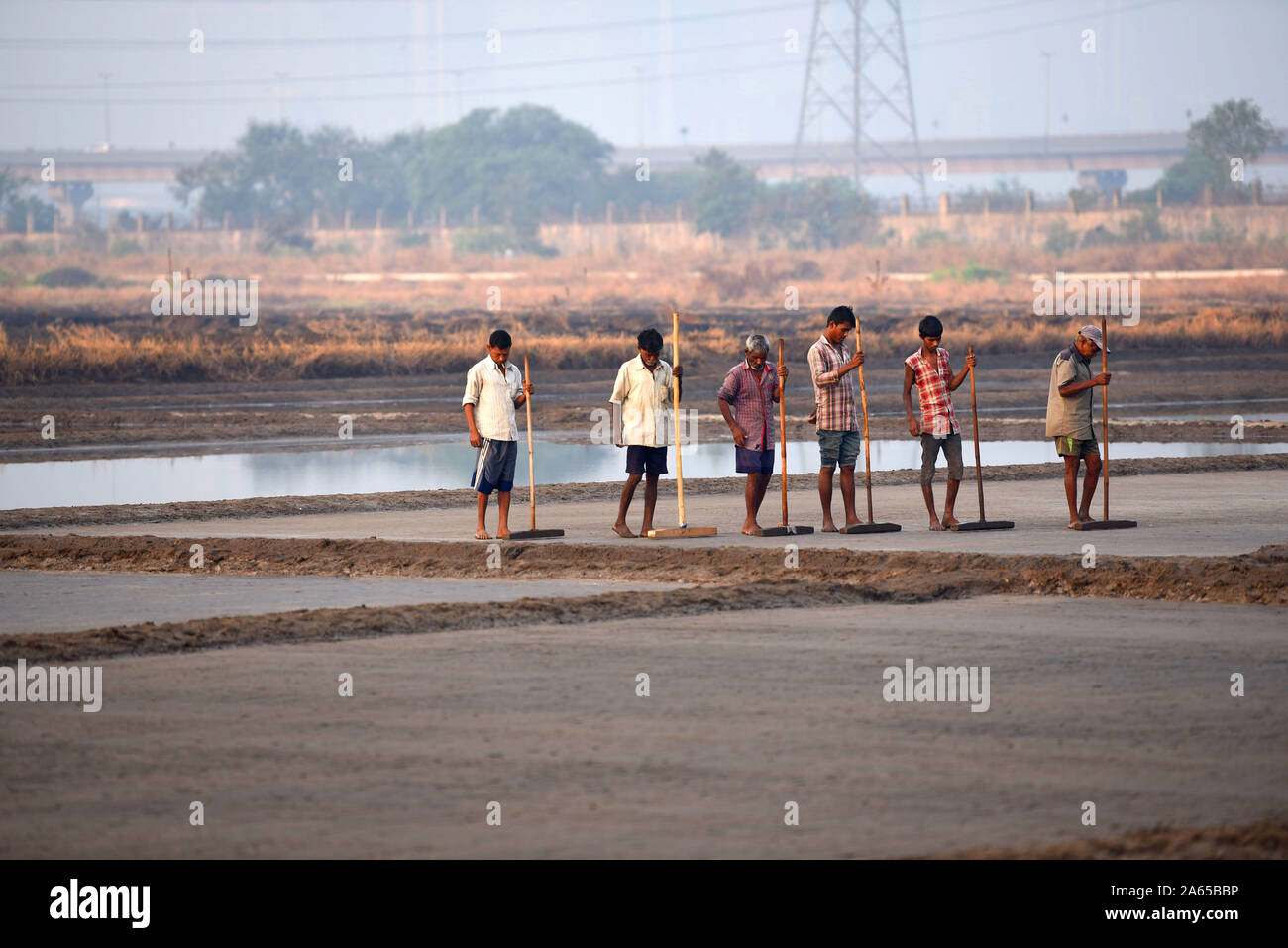 Men working in salt pans, Wadala, Mumbai, Maharashtra, India, Asia ...