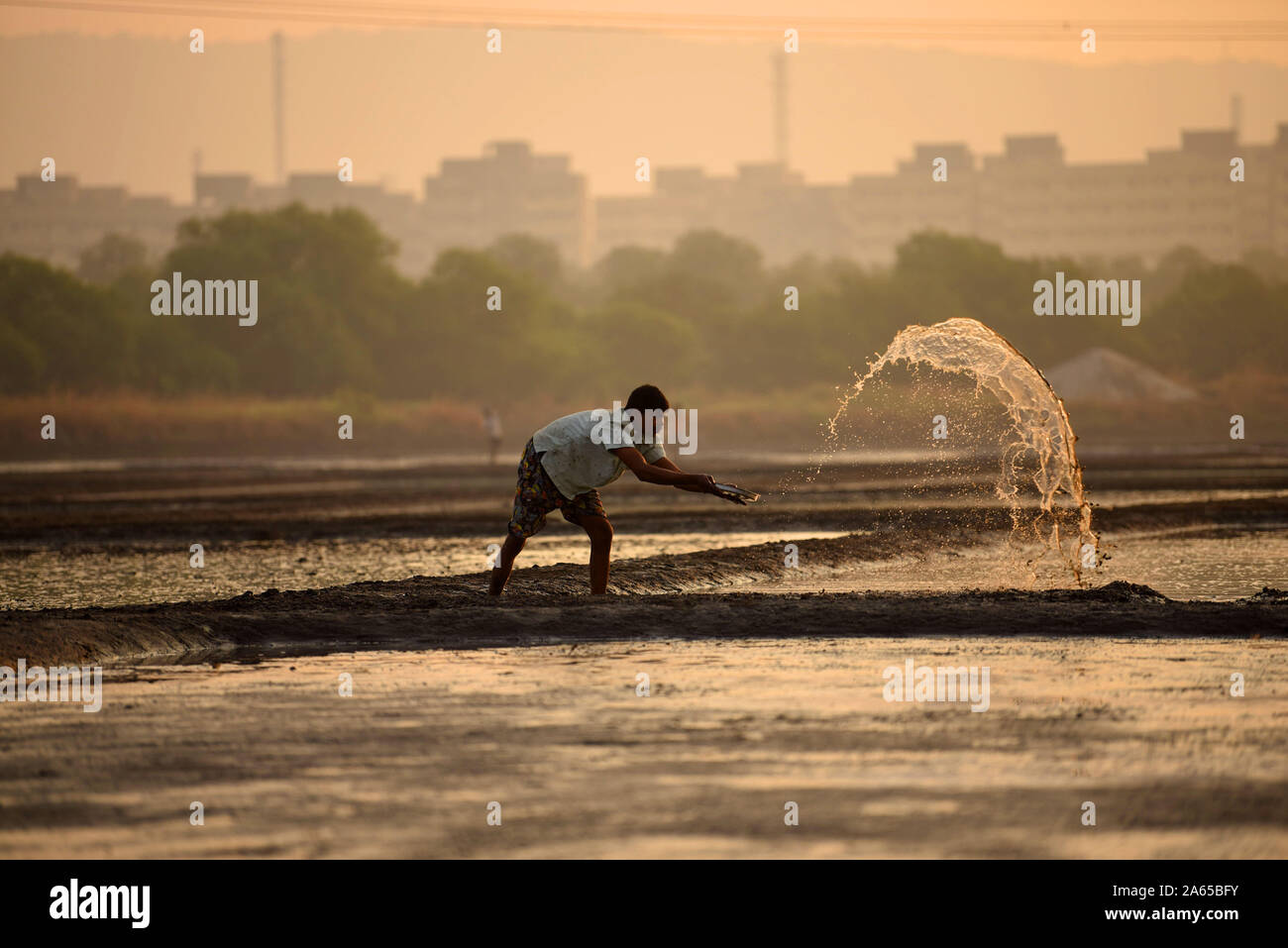 Men working in salt pans, Wadala, Mumbai, Maharashtra, India, Asia ...