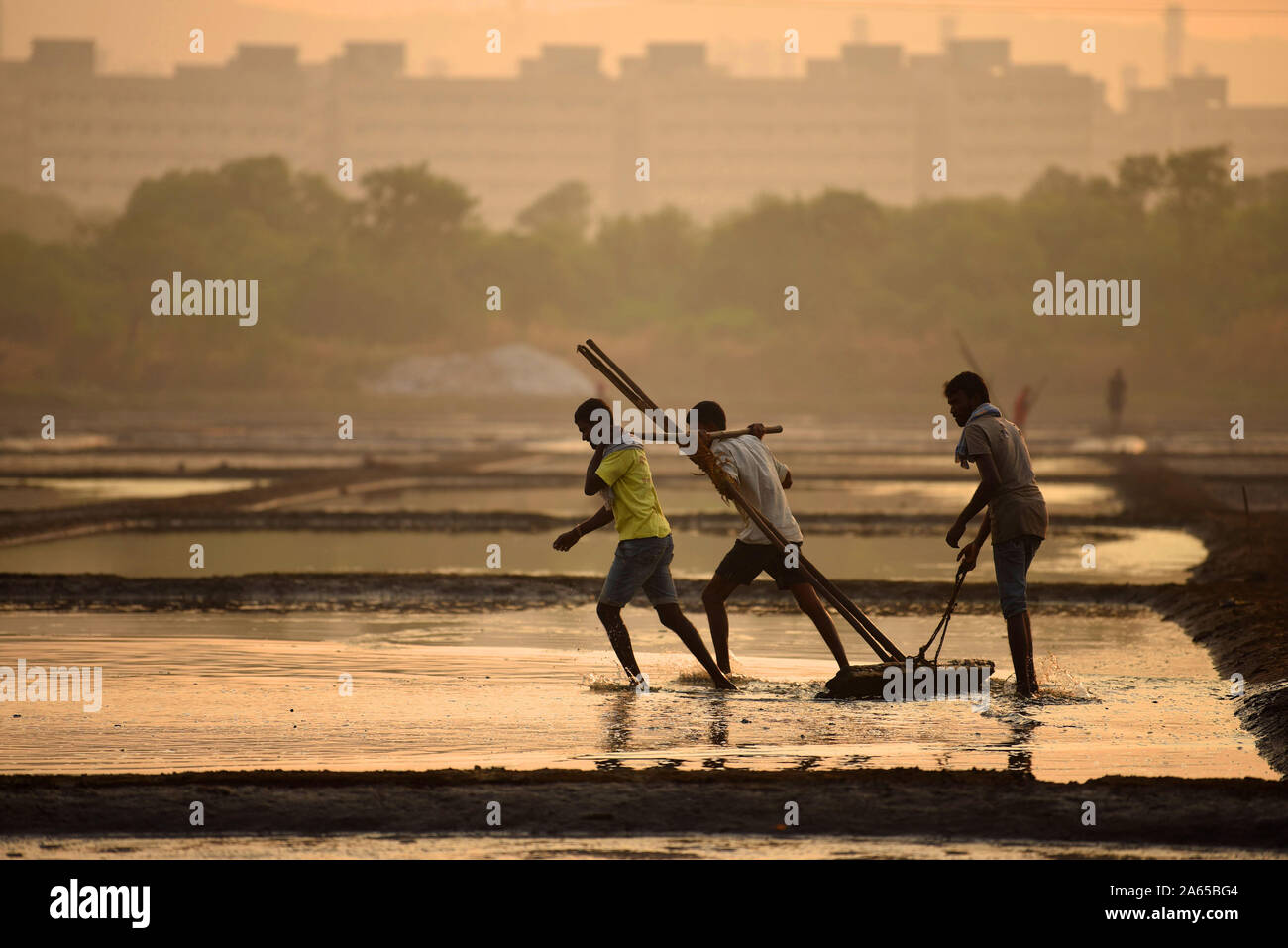 Wadala hi-res stock photography and images - Alamy
