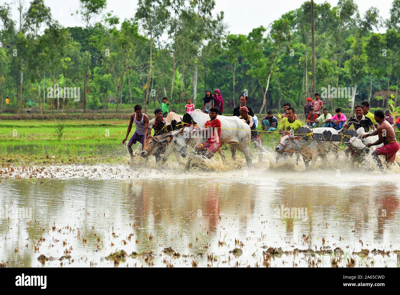Moichara High Resolution Stock Photography and Images - Alamy