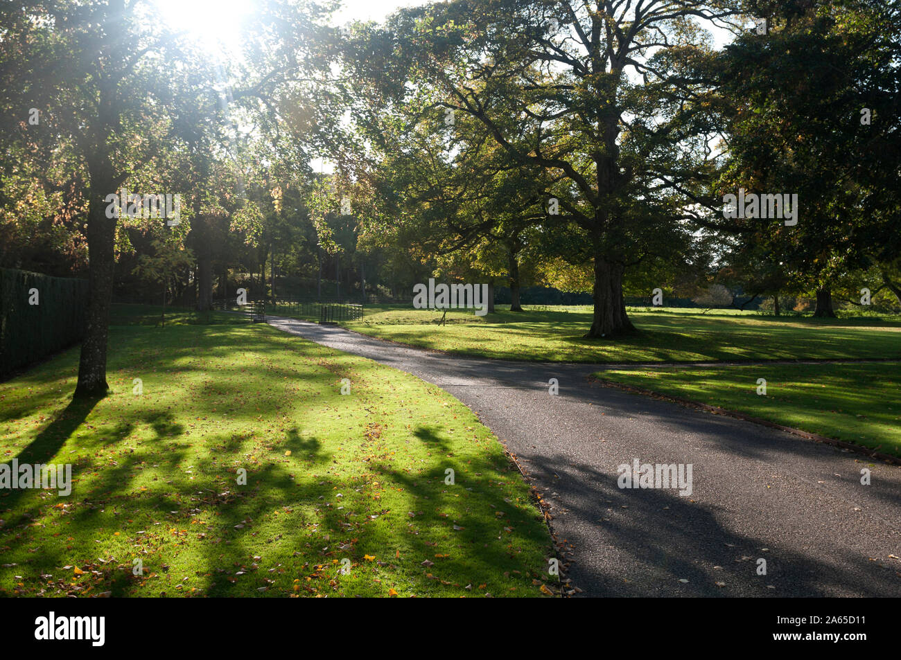 Glympton park house hi-res stock photography and images - Alamy