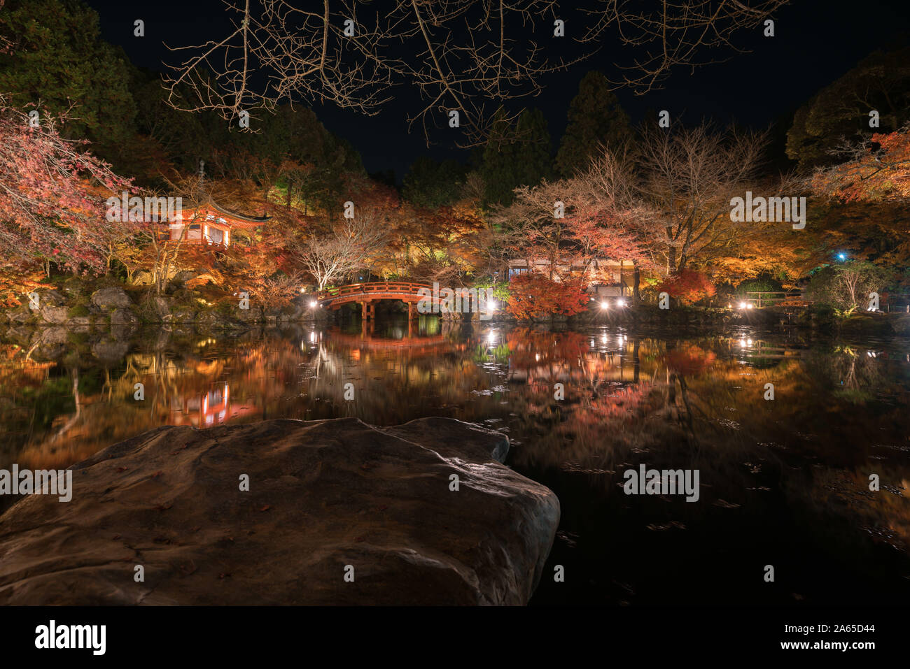 Japanese red maple at night hi-res stock photography and images - Alamy