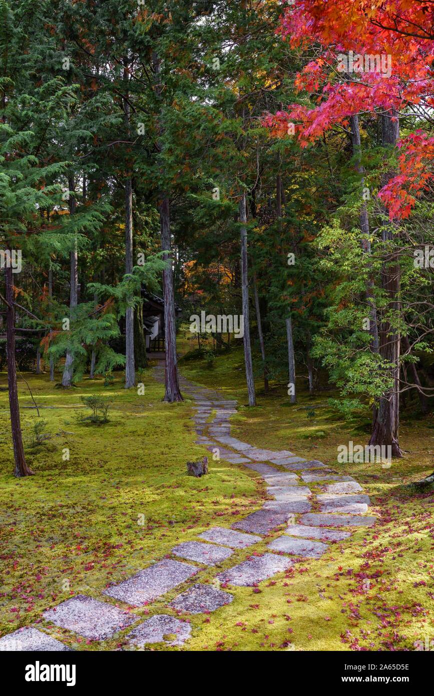 A small footpath in a garden surrounded by forest and plants in autumn ...