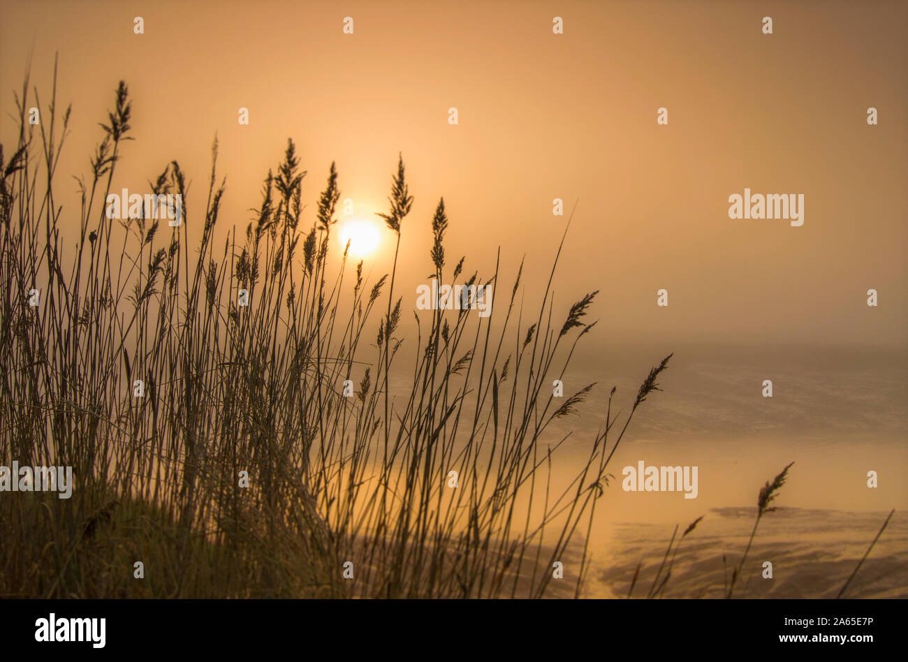 Gold yellow mist hi-res stock photography and images - Alamy