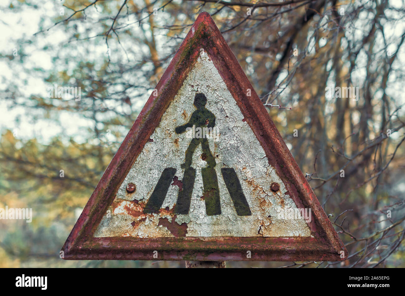 old triangular road sign in Chernobyl Ukraine in autumn closeup Stock ...