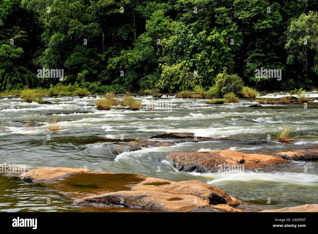 Chalakudy River, Vazhachal Forest, Thrissur, Kerala, India, Asia Stock ...
