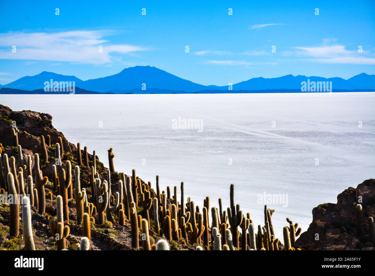 Uyuni excursion hi-res stock photography and images - Alamy
