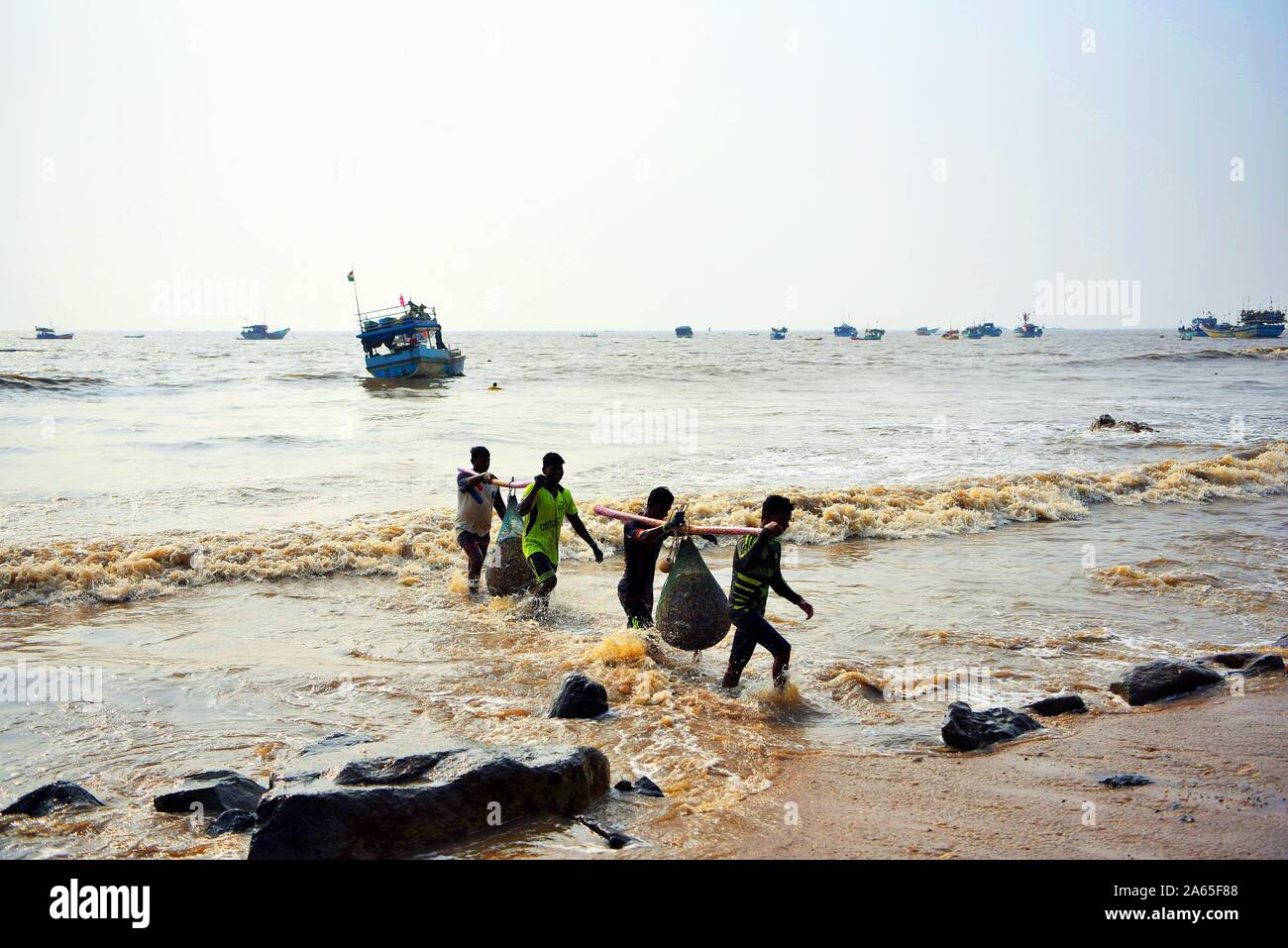 Fisherman carrying fish from boat to Uttan Beach, Bhayandar, Mumbai ...