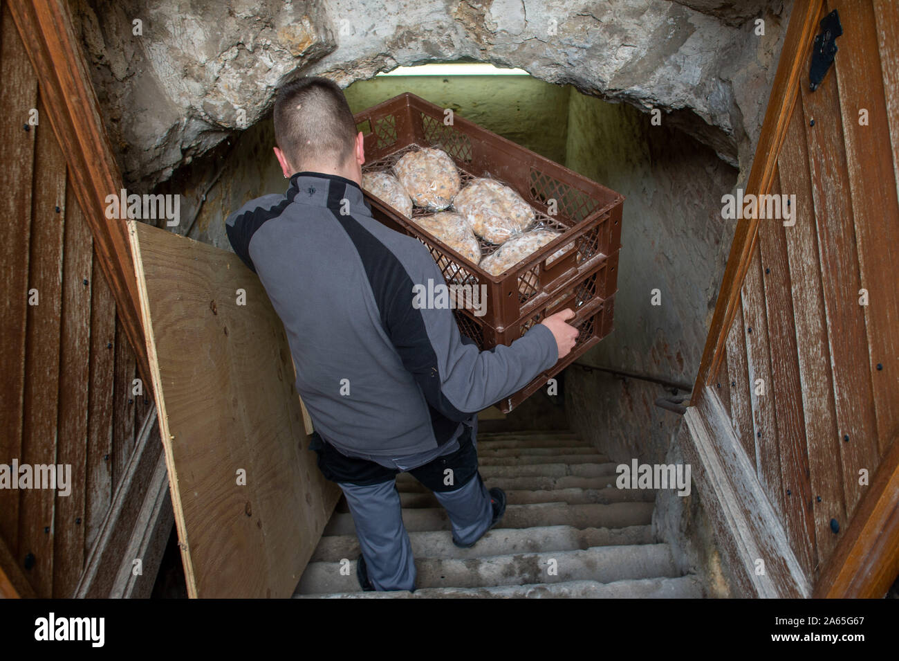 Stollen box hi-res stock photography and images - Alamy