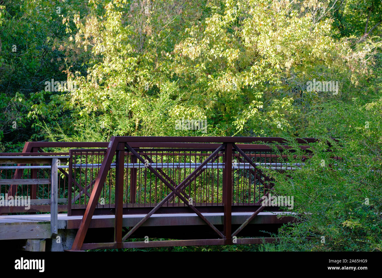 Bridge through forest hi-res stock photography and images - Alamy