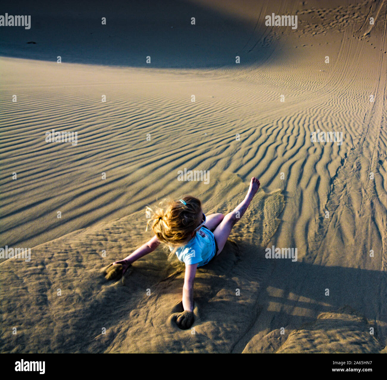 Sandboard in Huacachina, Peru Stock Photo - Alamy
