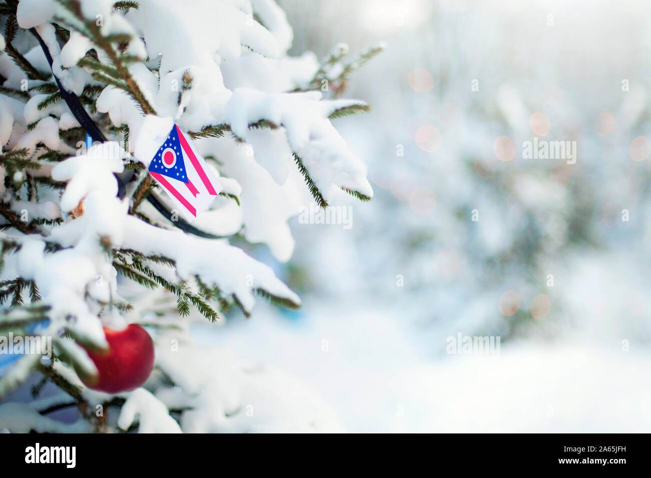 Ohio flag. Christmas tree branch with a flag of Ohio state. Xmas ...