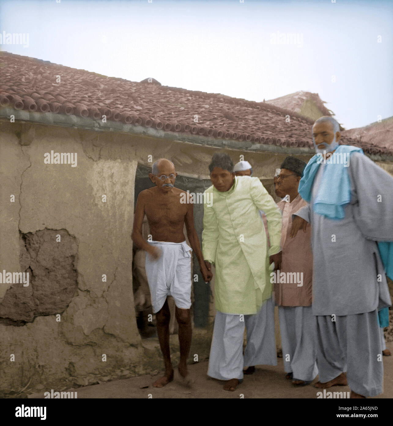 Jay 272010 hi-res stock photography and images - Alamy