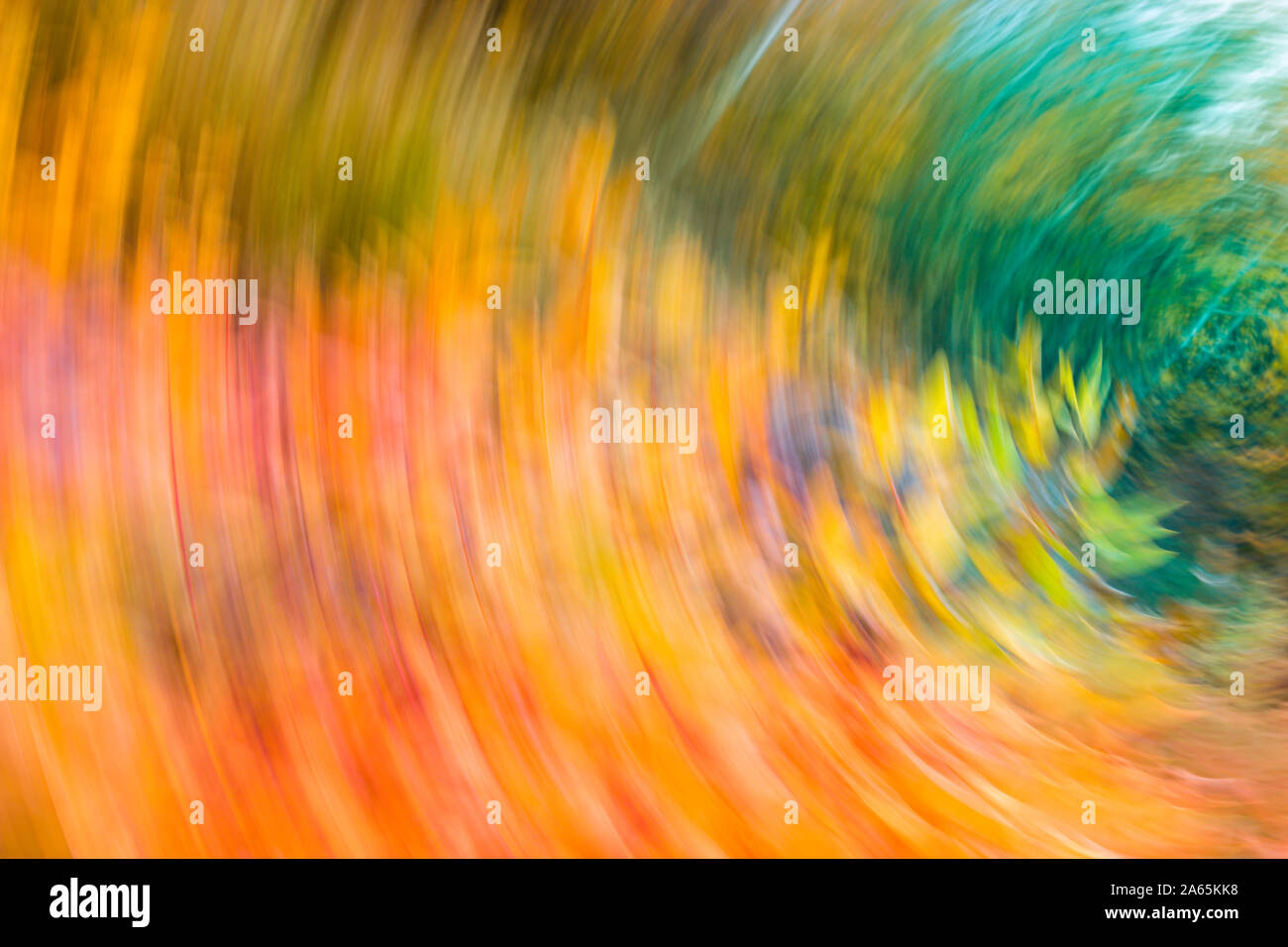 In a whirlwind hi-res stock photography and images - Alamy