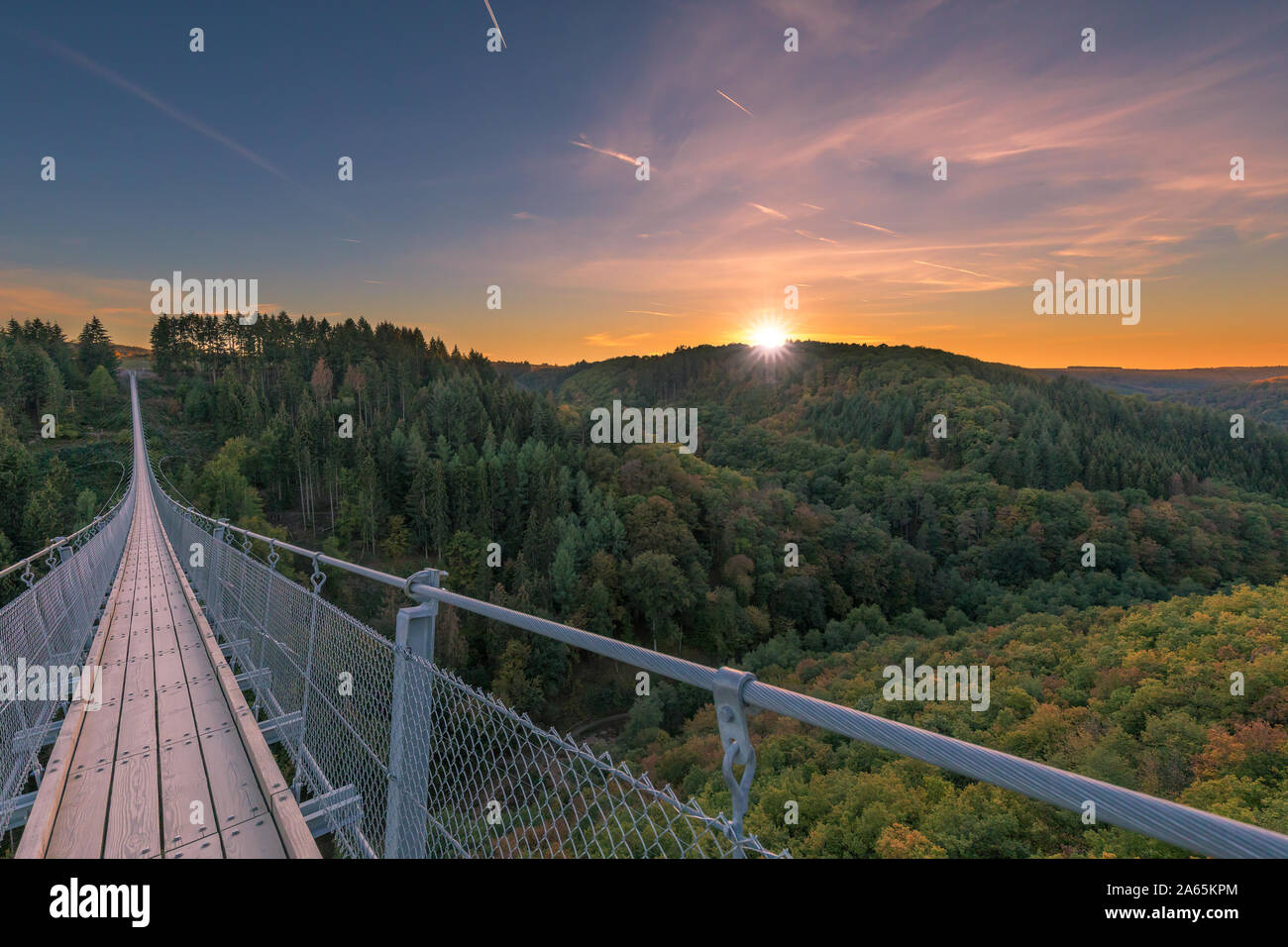 Hangeseilbrucke geierlay hi-res stock photography and images - Alamy