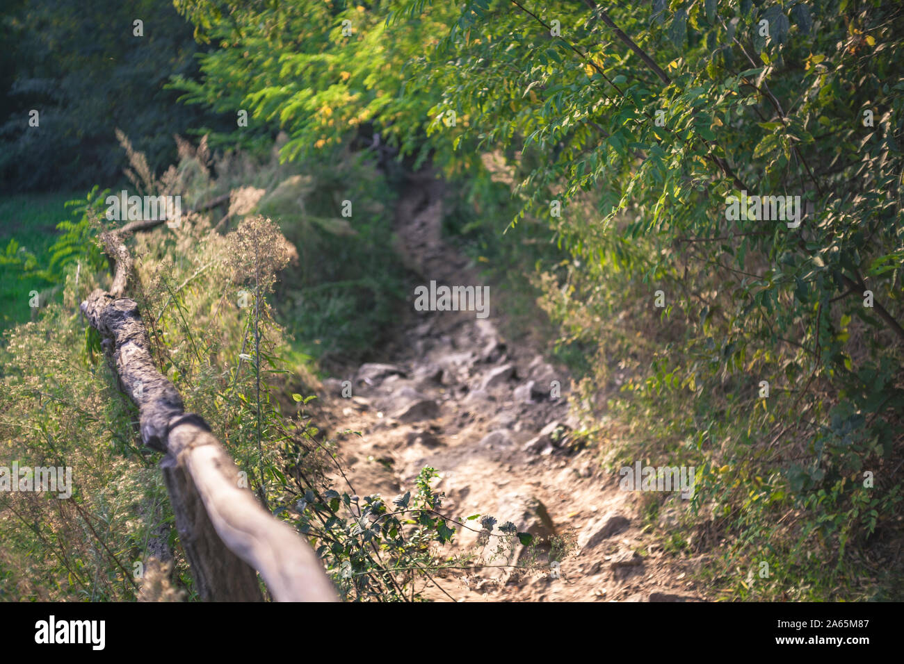 Steep Descent High Resolution Stock Photography and Images - Alamy