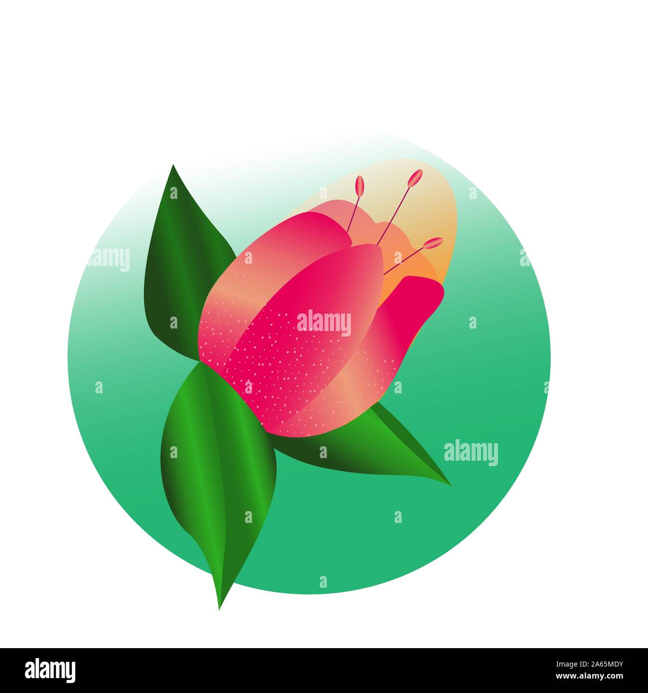 Pink Flower vector logo in a round frame Stock Vector Image & Art - Alamy