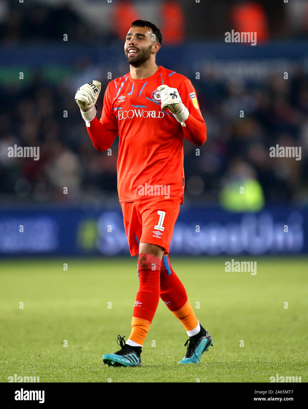 Brentford goalkeeper david raya martin celebrates hi-res stock ...