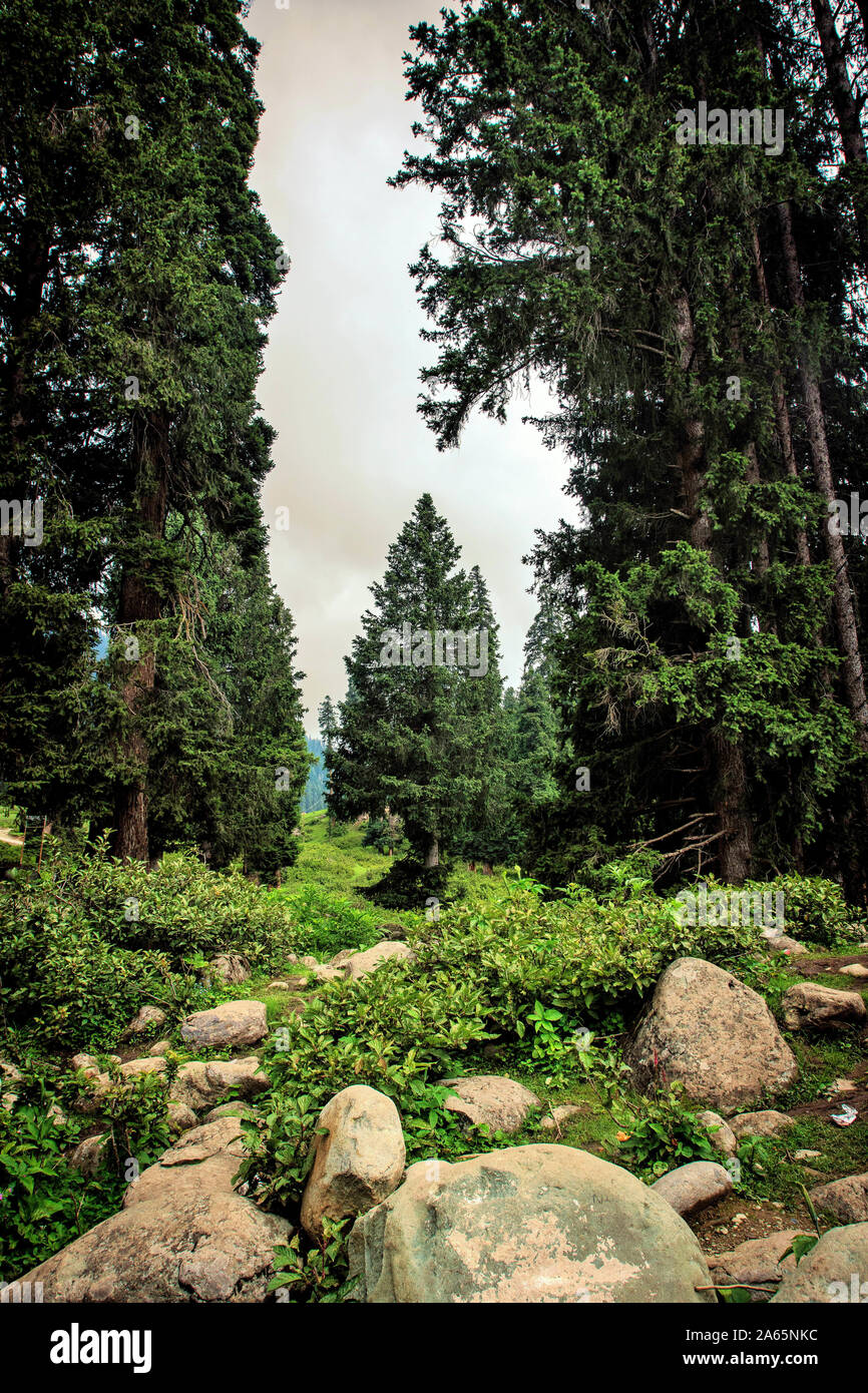 Doodhpathri budgam hi-res stock photography and images - Alamy