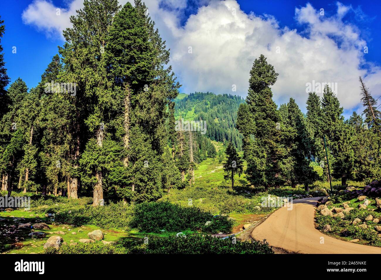 Doodhpathri budgam hi-res stock photography and images - Alamy
