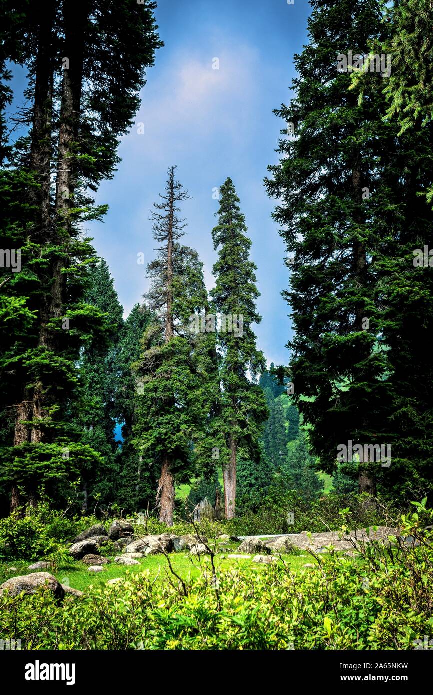 Doodhpathri budgam hi-res stock photography and images - Alamy