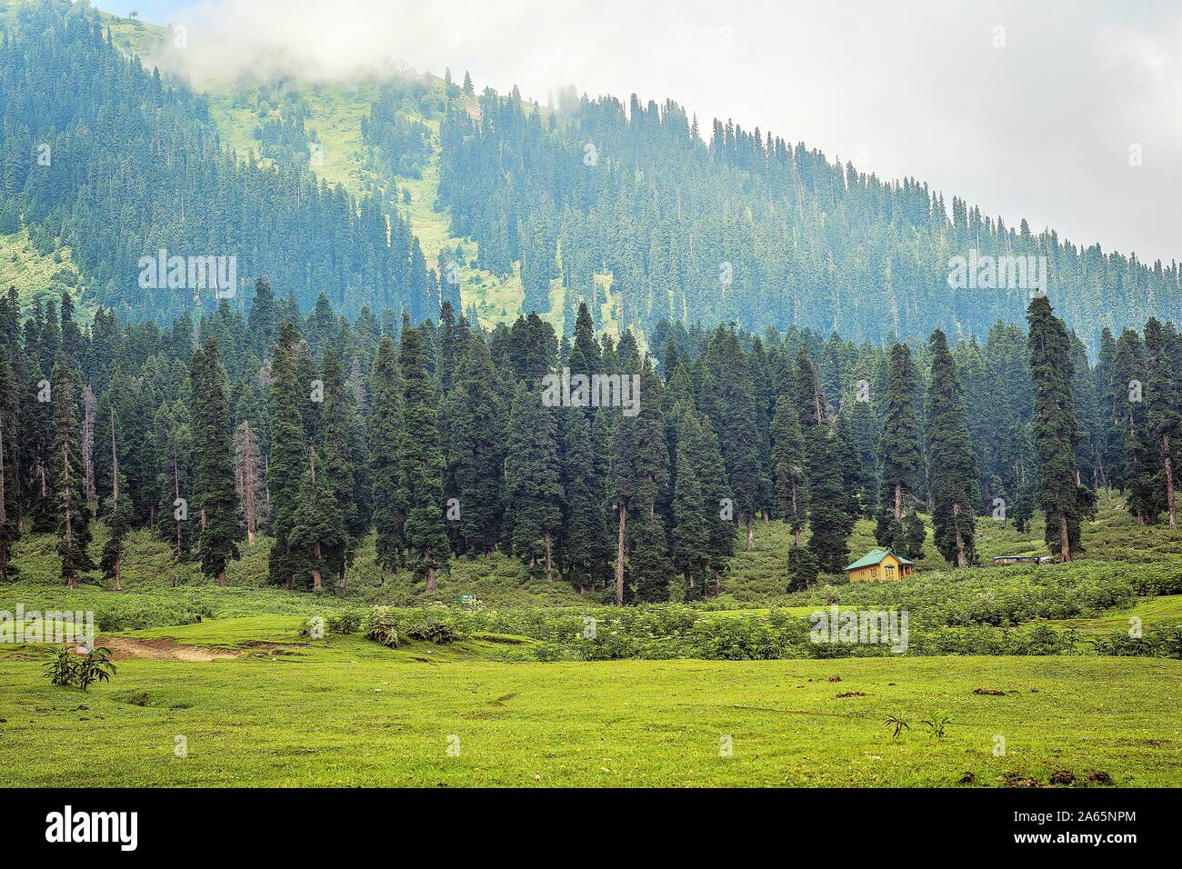 Doodhpathri budgam hi-res stock photography and images - Alamy