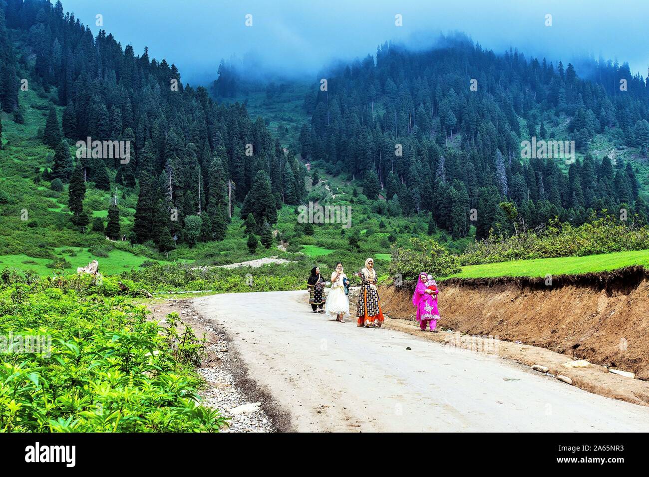 Kashmiri women walking on road, Doodhpathri, Budgam, Kashmir, Union ...