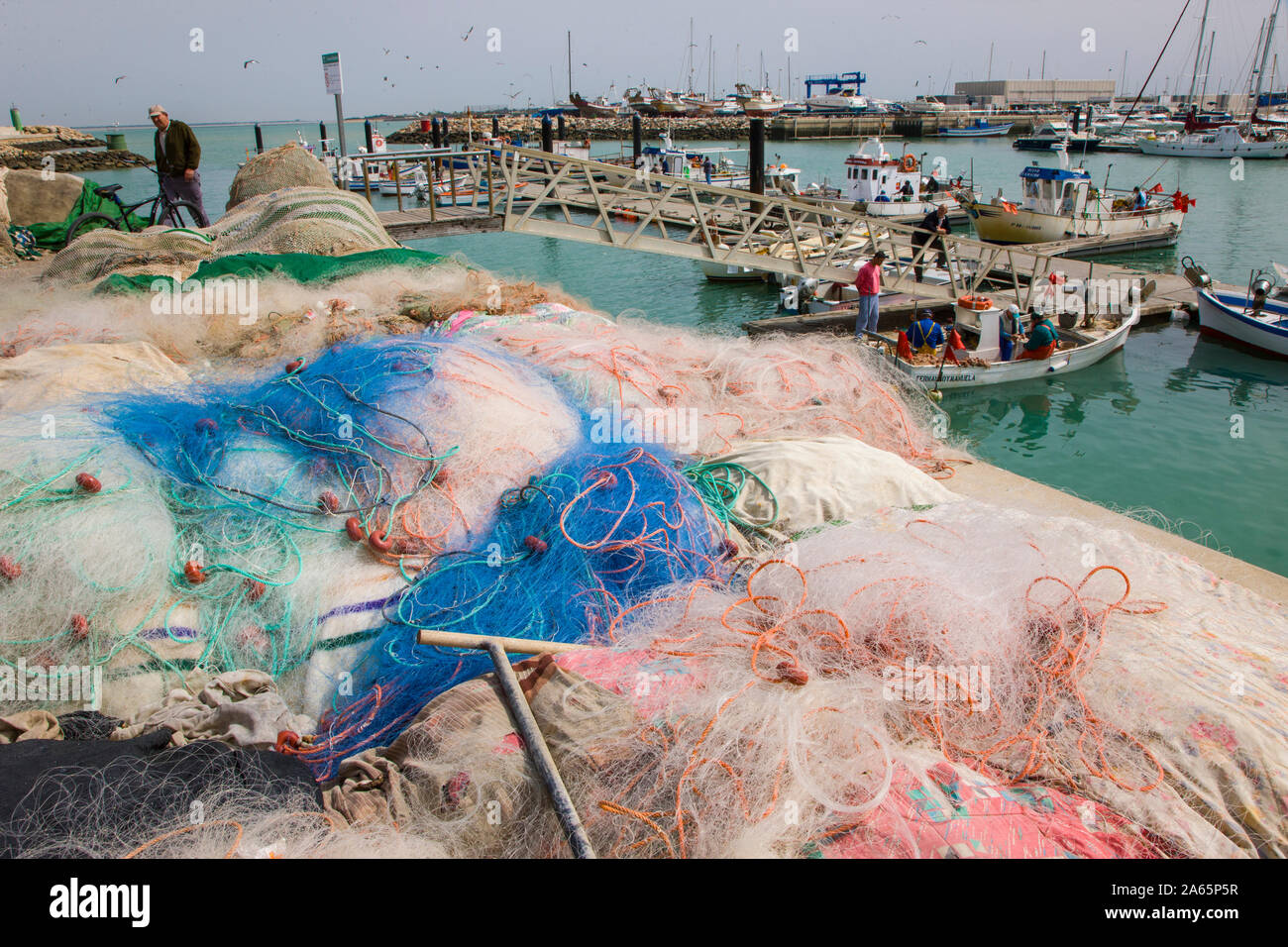 Corvina fish spain hi-res stock photography and images - Alamy