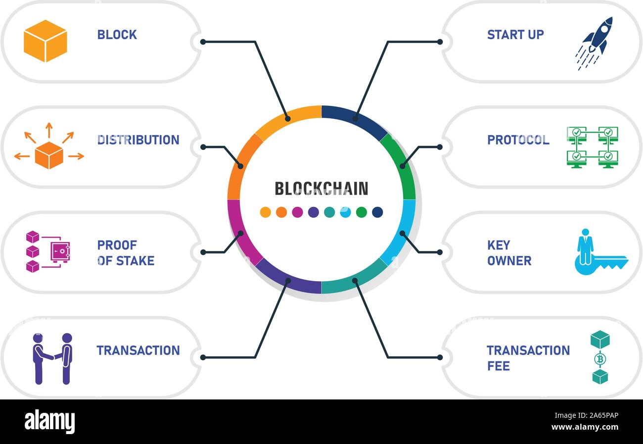 Blockchain Infographics vector design. Timeline concept include block, distribution, proof of ...
