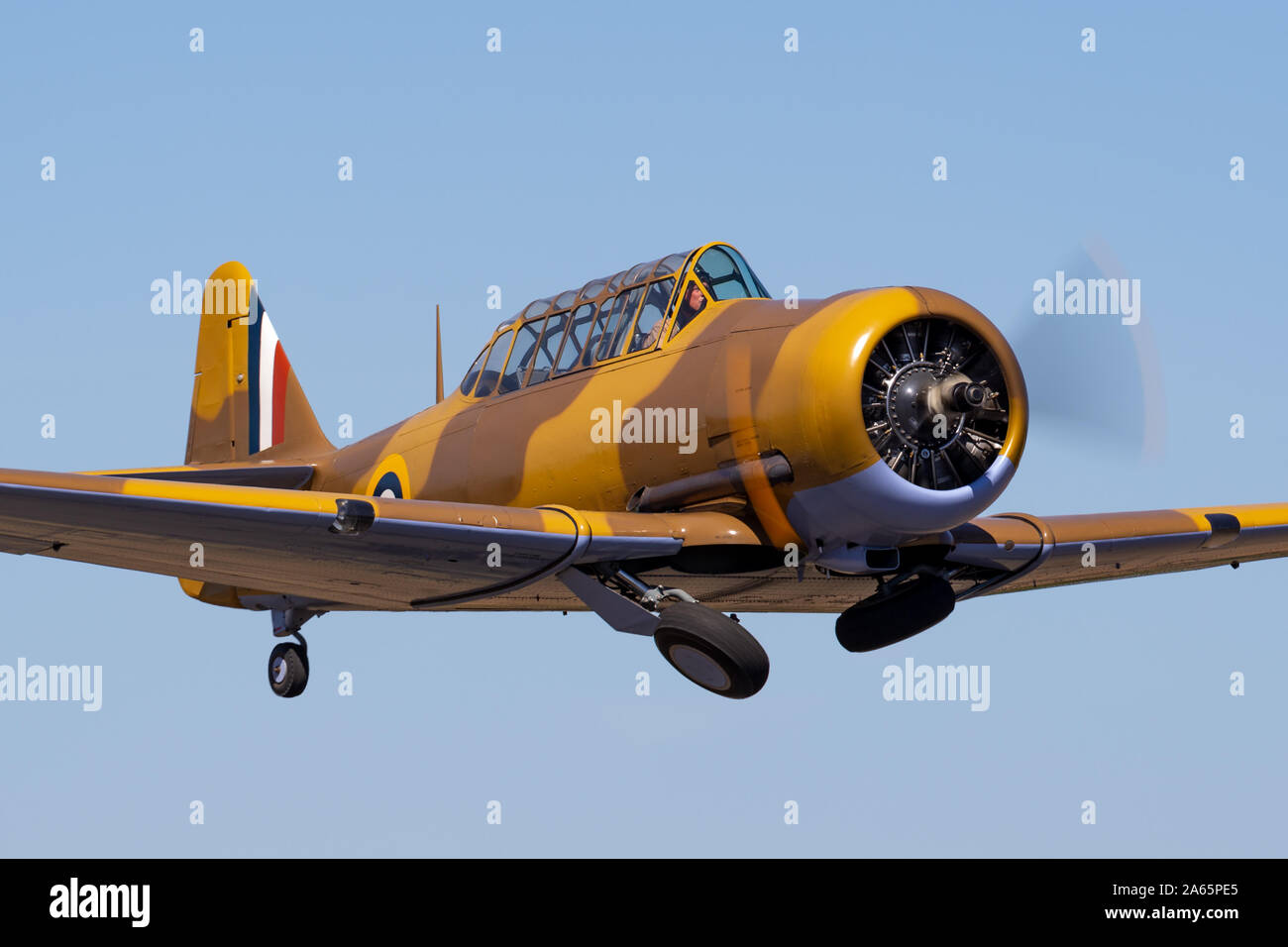 North american at6 texan hi-res stock photography and images - Alamy
