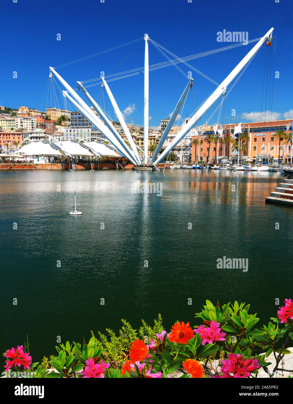 Ancient port in genoa italy hi-res stock photography and images - Alamy