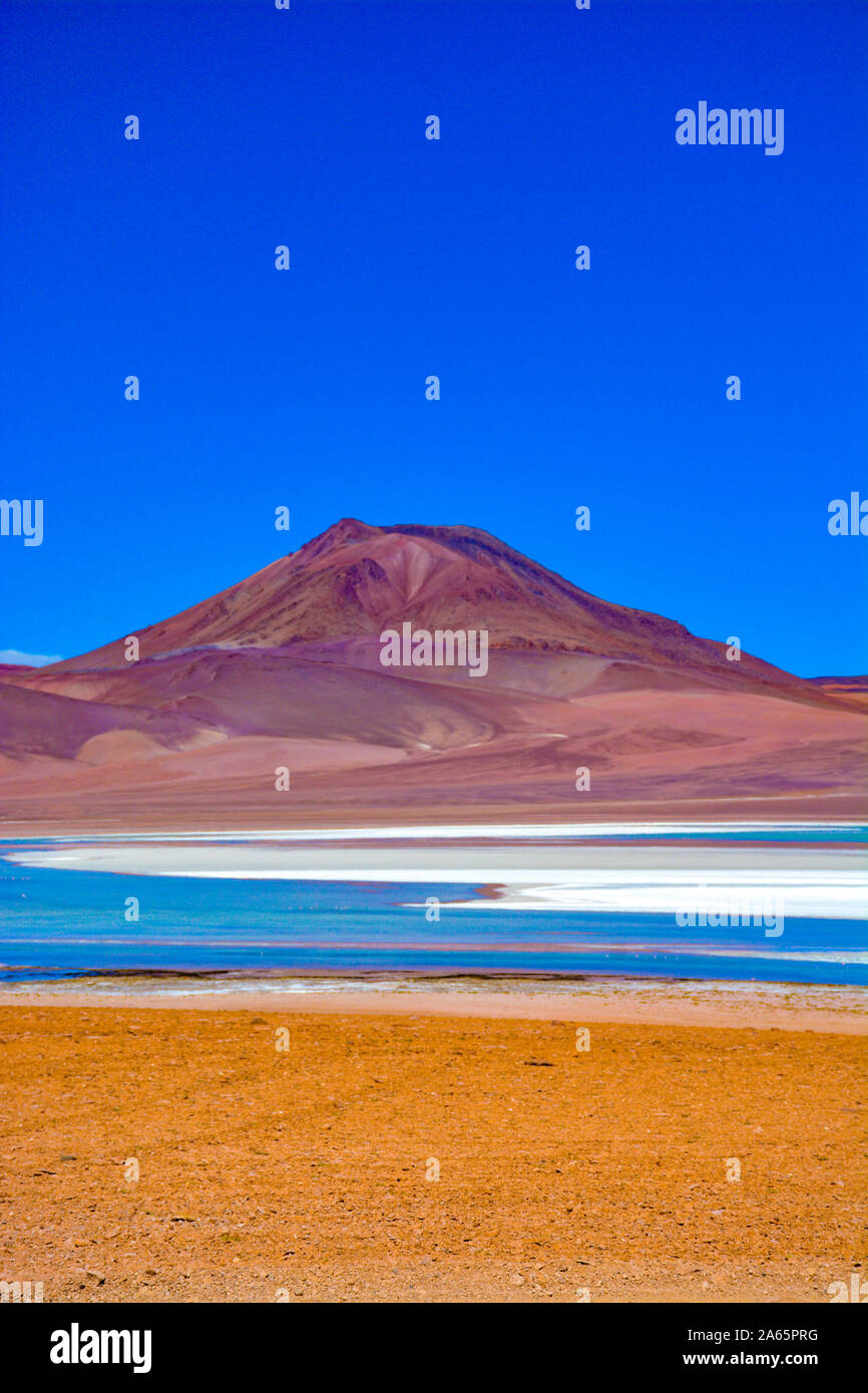 the fabulous laguna colorada in Bolivia Stock Photo - Alamy