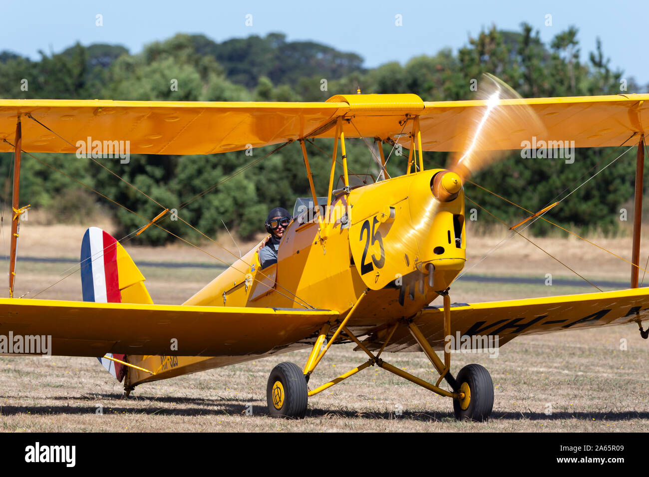 De Havilland DH-82A Tigermoth vintage biplane VH-AYI Stock Photo - Alamy