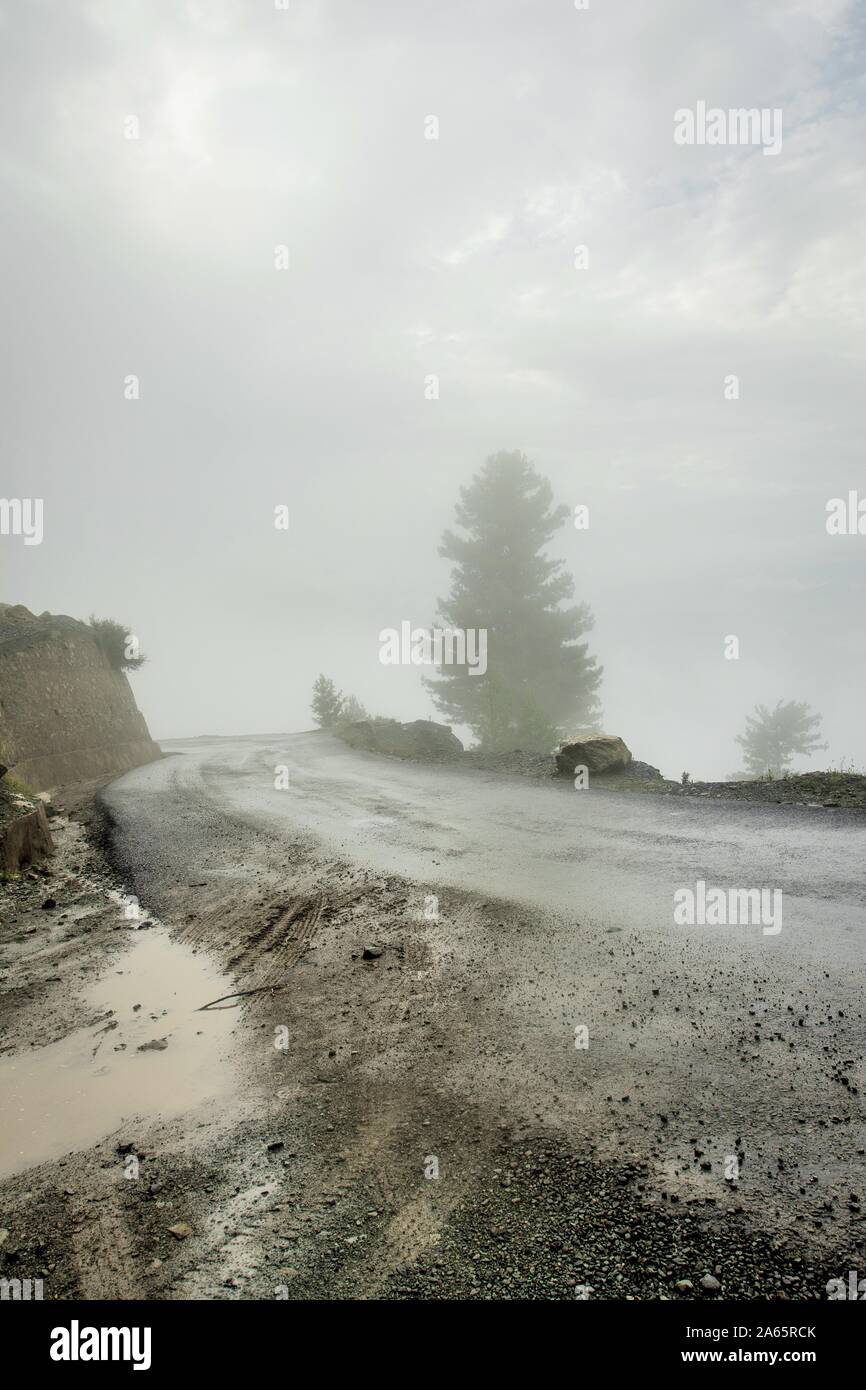 Road and pine trees, Doodhpathri, Budgam, Kashmir, Union Territory, UT ...