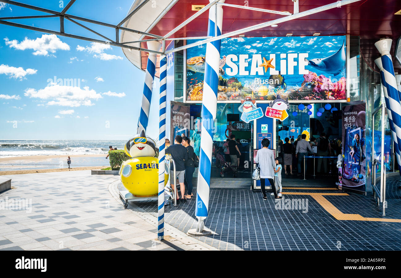Busan Korea , 3 October 2019 : Entrance of Sea Life aquarium and ...