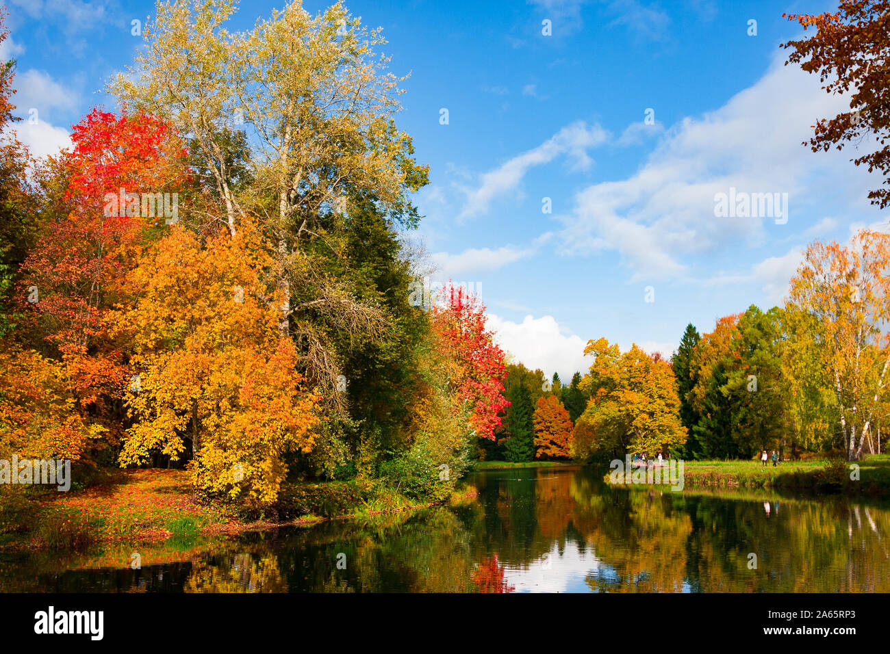 Pavlovsky hi-res stock photography and images - Alamy