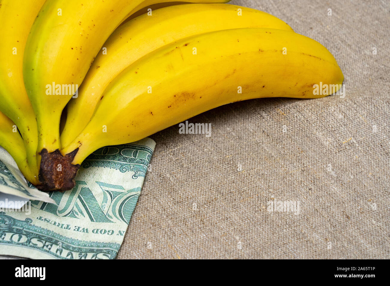 Bananas and money. The concept of a balanced healthy diet cost of ...