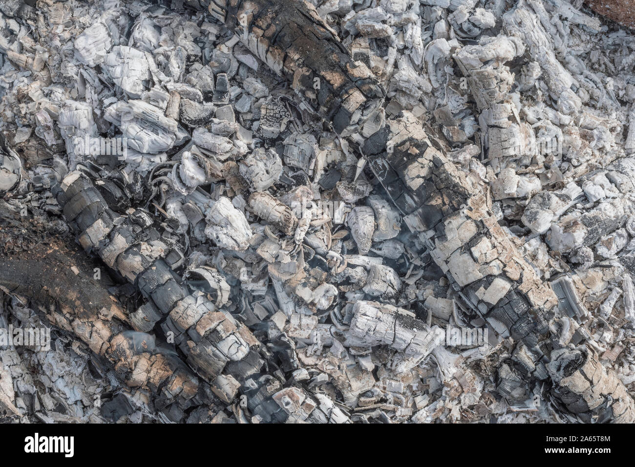 Ashes and charred wood from burnt out wood camp fire / survival fire / emergency fire. Fire ...
