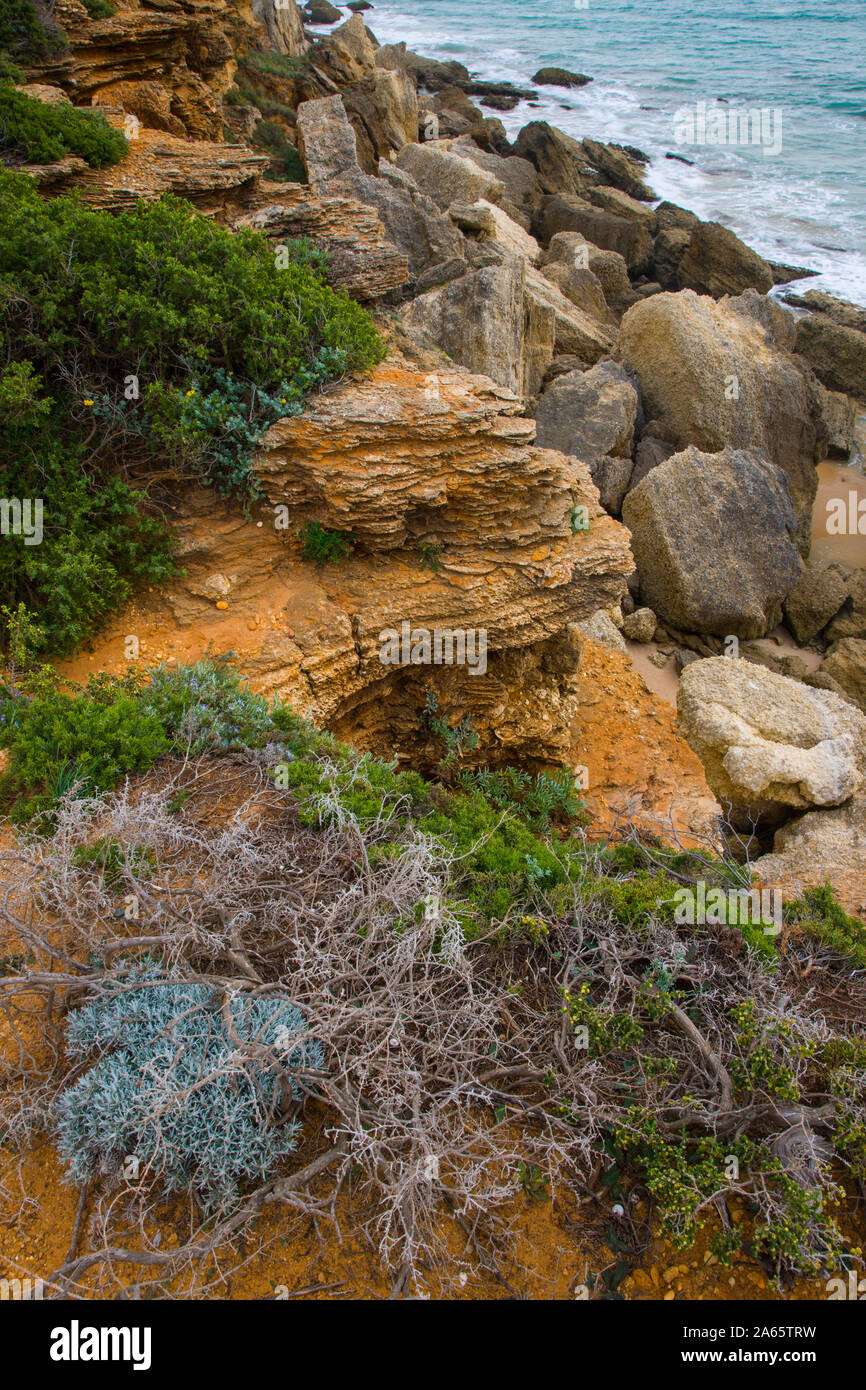 Landscape in Cabo Roche, Cadiz Stock Photo - Alamy