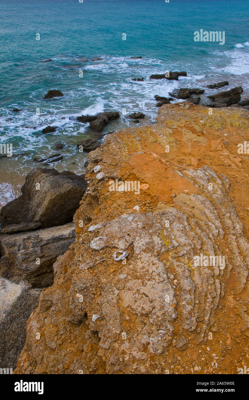 Landscape in Cabo Roche, Cadiz Stock Photo - Alamy