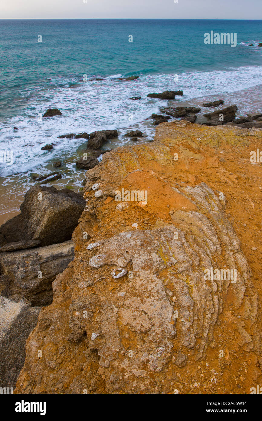 Landscape in Cabo Roche, Cadiz Stock Photo - Alamy