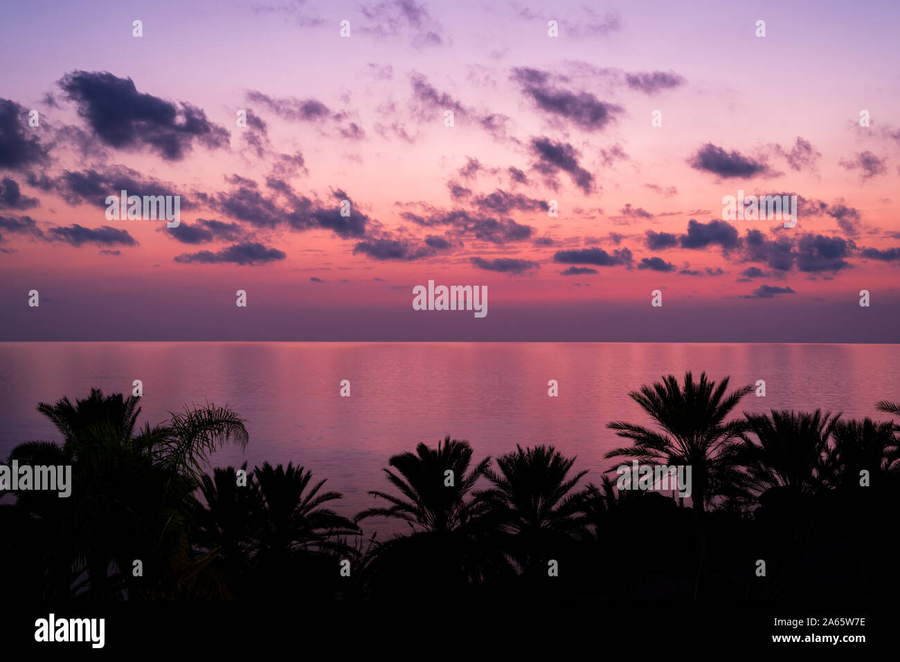 Sunset sky in Cyprus with palm tree in the foreground Stock Photo - Alamy