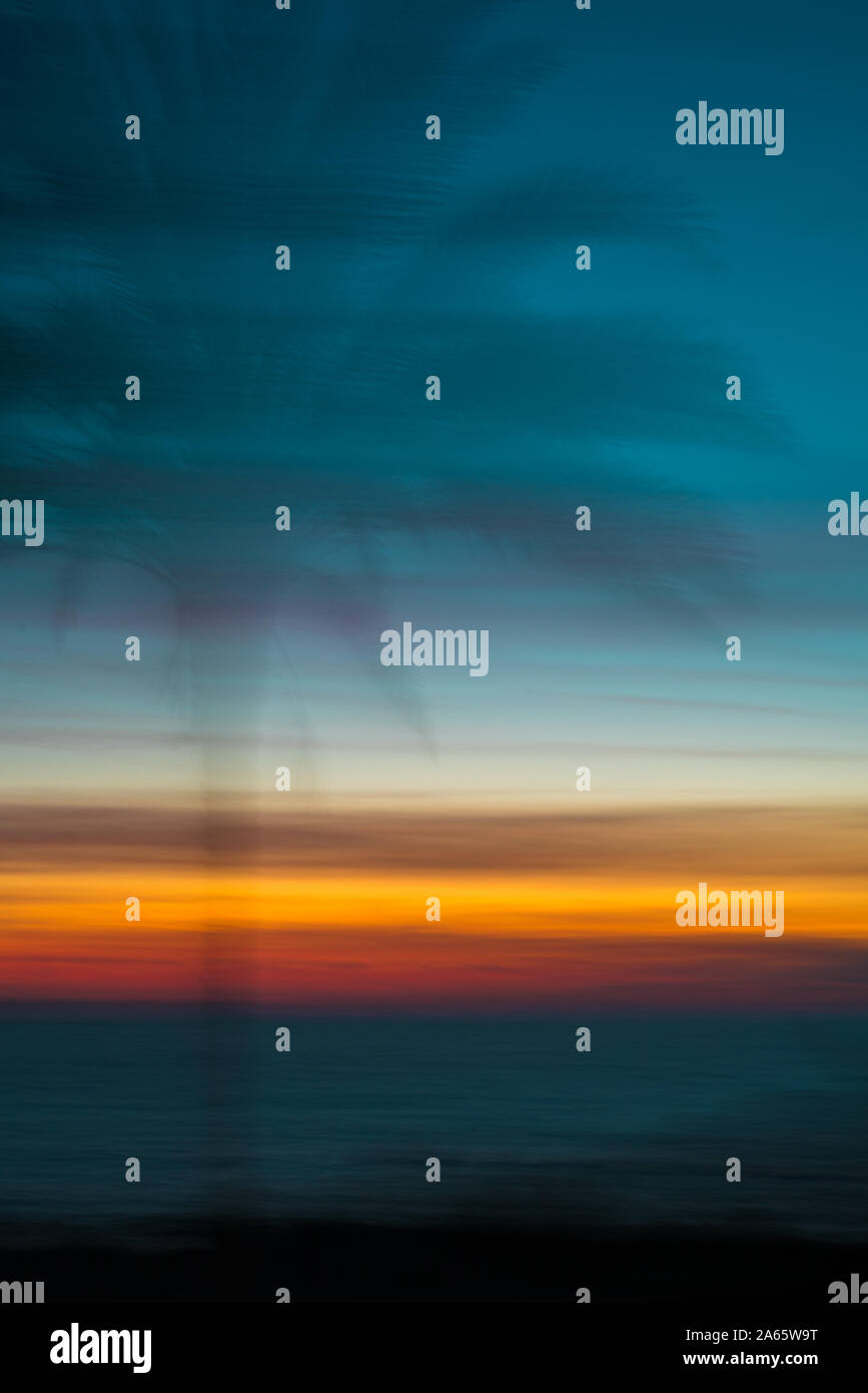 Sunset sky in Cyprus with palm tree in the foreground Stock Photo - Alamy