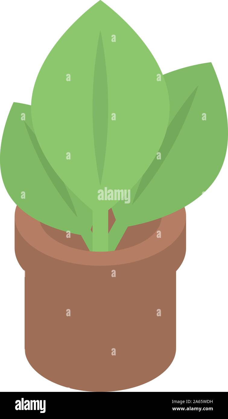 Houseplant icon, isometric style Stock Vector Image & Art - Alamy