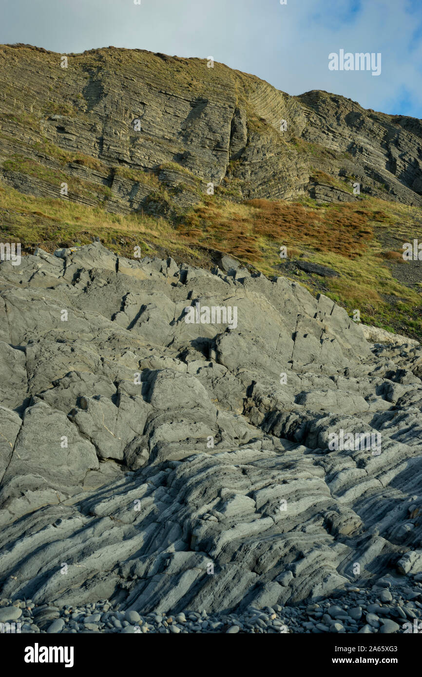 Beach with stacked limestone strata in Ceredigion, Wales,UK Stock Photo ...