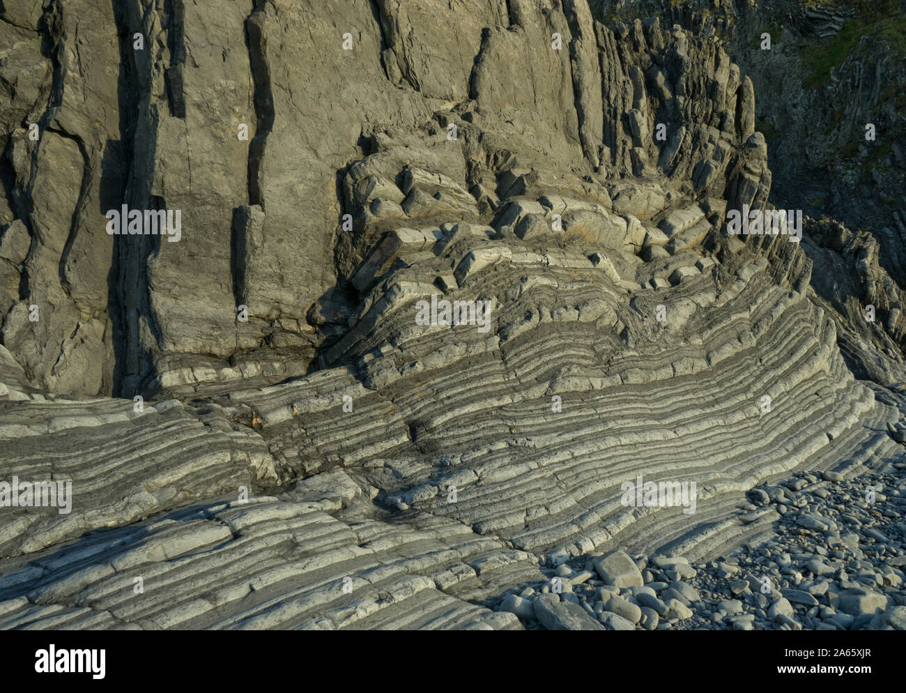 Beach with stacked limestone strata in Ceredigion, Wales,UK Stock Photo ...