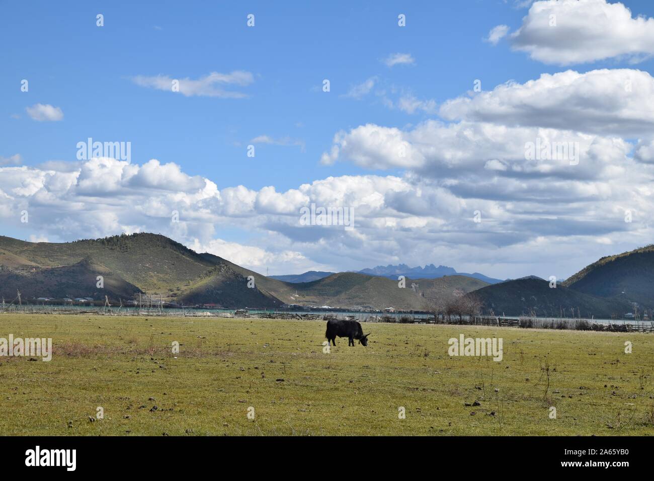 Napahai Natural Reserve near Shangri-La town in Yunnan Province in ...