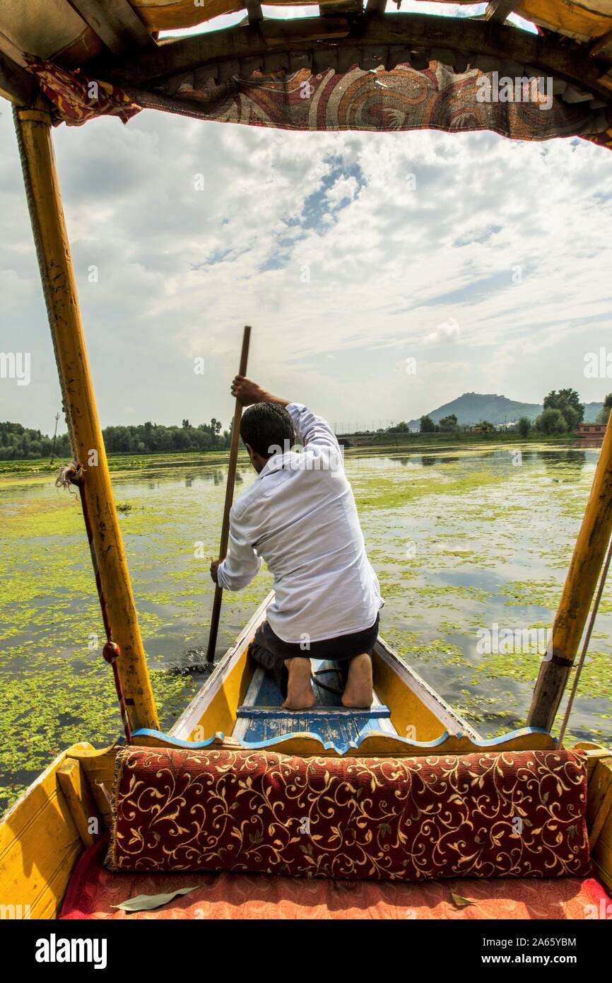 Shikara ride in Dal Lake, Srinagar, Kashmir, Union Territory, UT, India ...