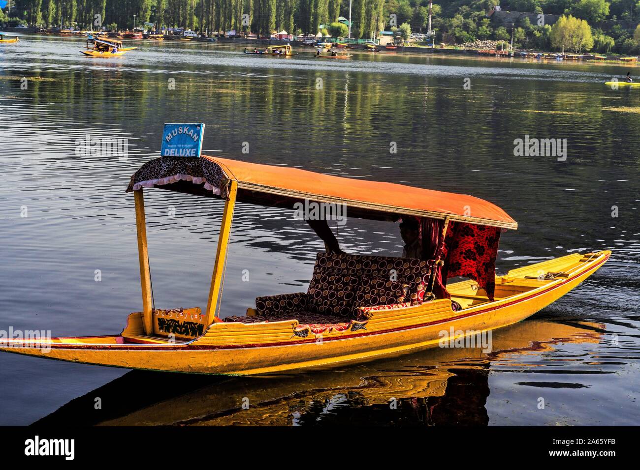 Shikara in Dal Lake, Srinagar, Kashmir, Union Territory, UT, India ...